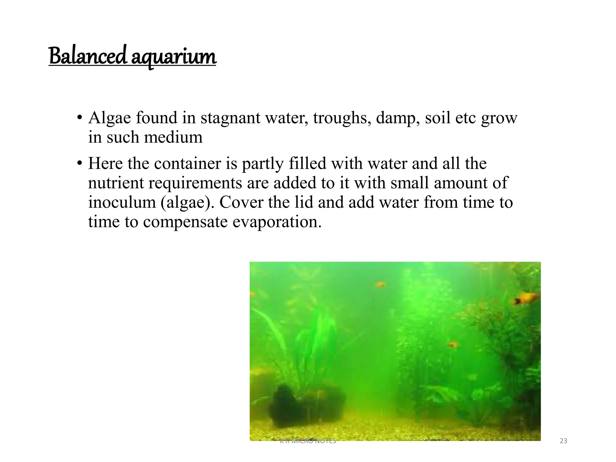 ISOLATION OF ALGAE (INDOOR) AND PHOTOBIOREACTOR K R.ppt