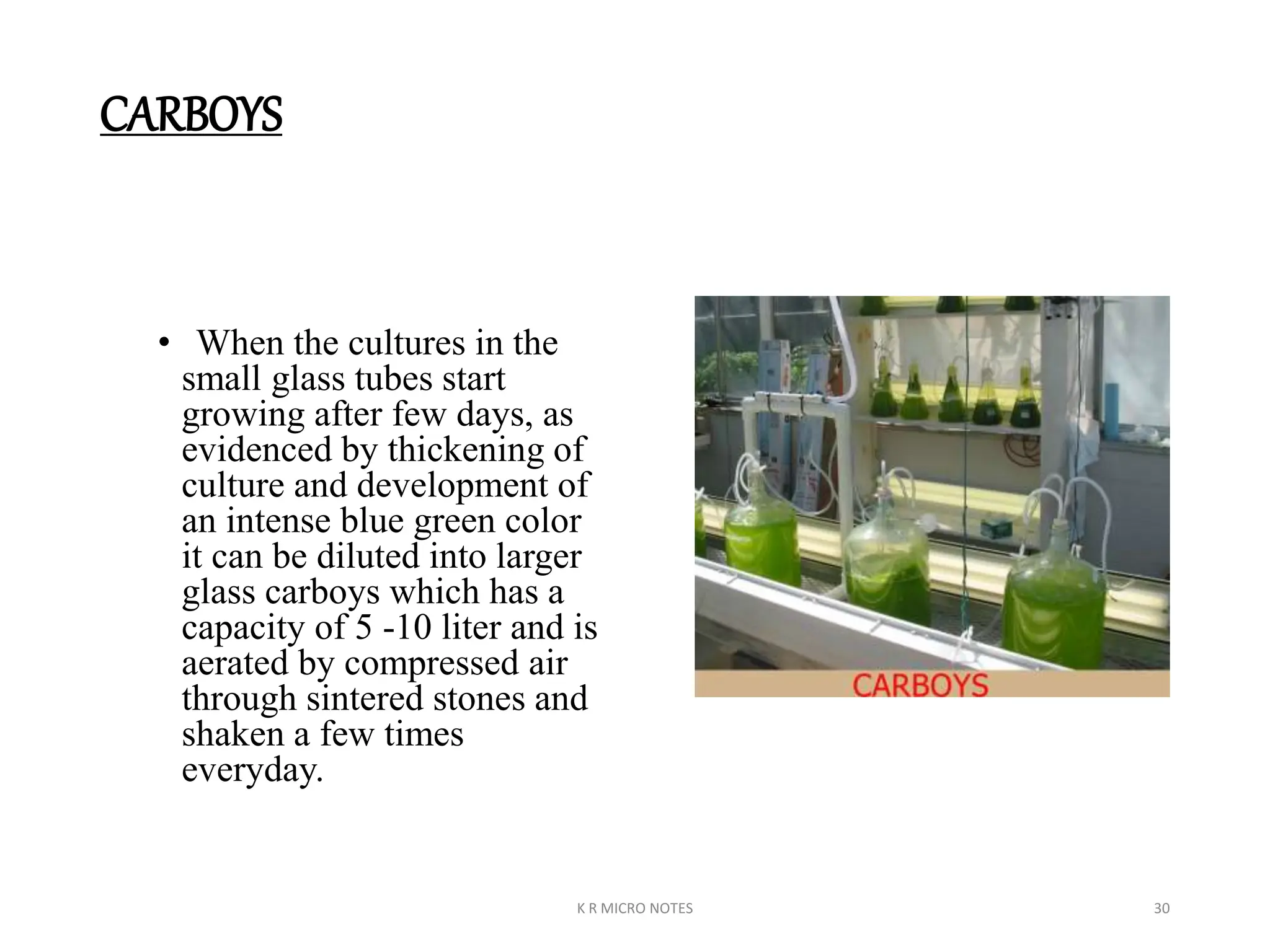 ISOLATION OF ALGAE (INDOOR) AND PHOTOBIOREACTOR K R.ppt