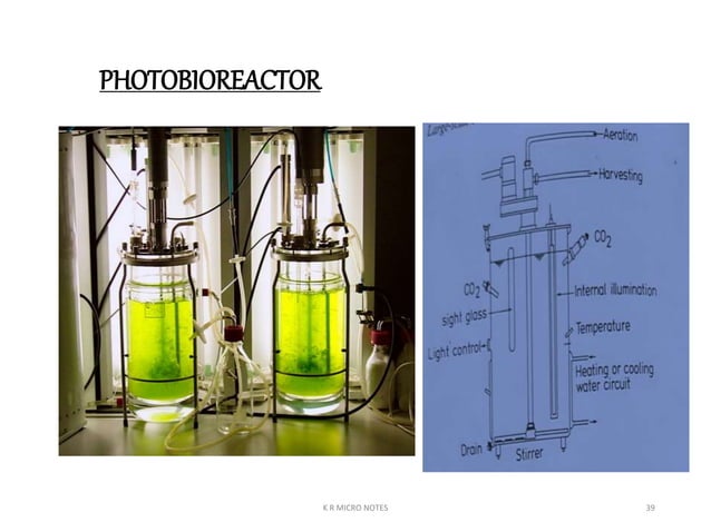ISOLATION OF ALGAE (INDOOR) AND PHOTOBIOREACTOR K R.ppt