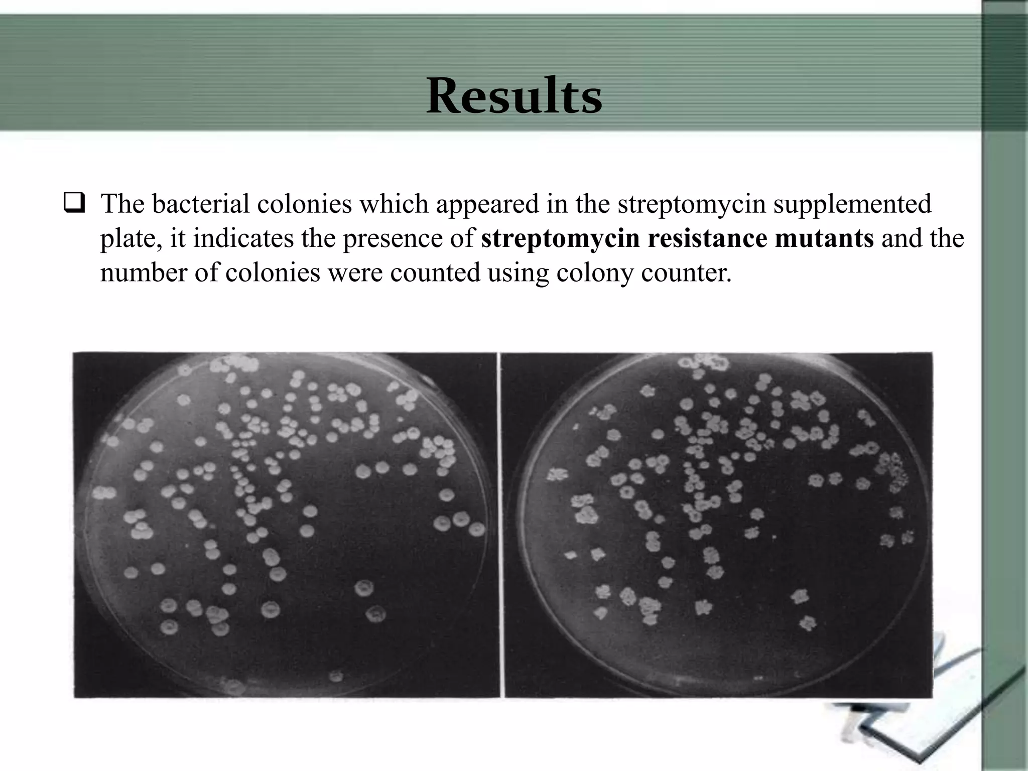 Isolation of antibiotic resistance mutant by replica plating | PPTX