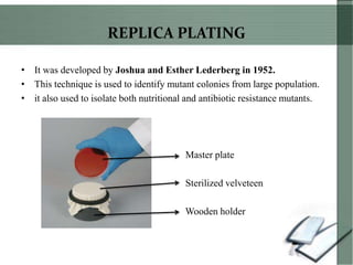 Isolation of antibiotic resistance mutant by replica plating | PPTX