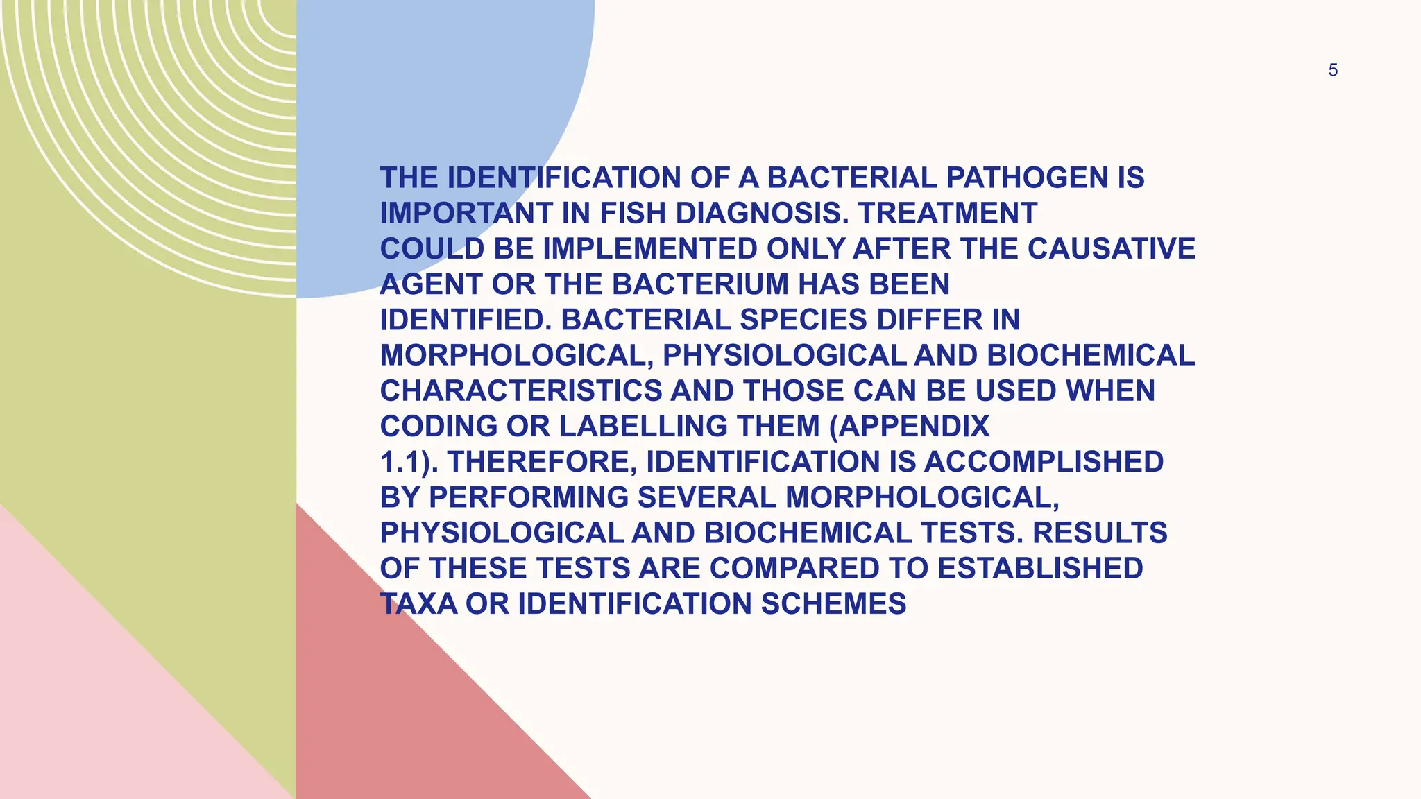 Isolation of bacteria.pptx