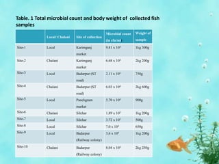 Isolation and identification of bacteria from Labeo rohita | PPTX