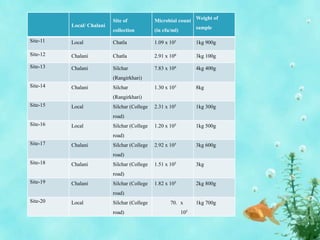 Isolation and identification of bacteria from Labeo rohita | PPTX