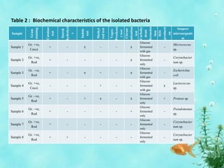 Isolation and identification of bacteria from Labeo rohita | PPTX