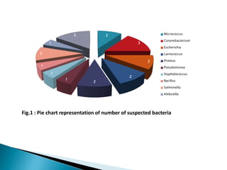Isolation and identification of bacteria from Labeo rohita | PPTX