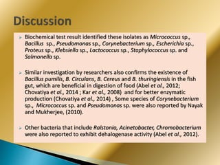 Isolation and identification of bacteria from Labeo rohita | PPTX