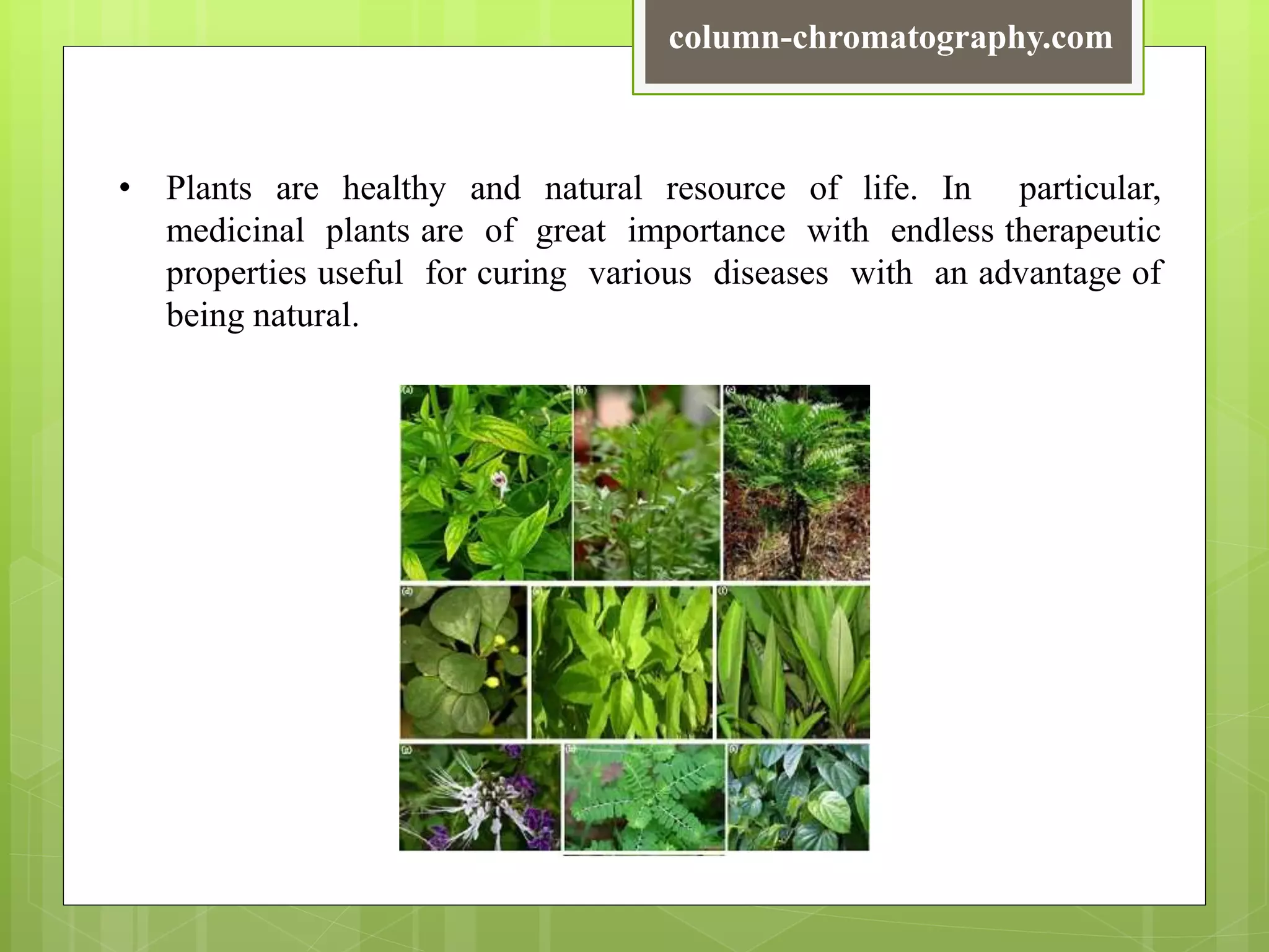 Isolation Of Bioactive Compounds From Medicinal Plants Pptx