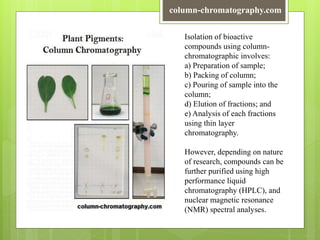 Isolation of bioactive compounds from medicinal plants | PPTX