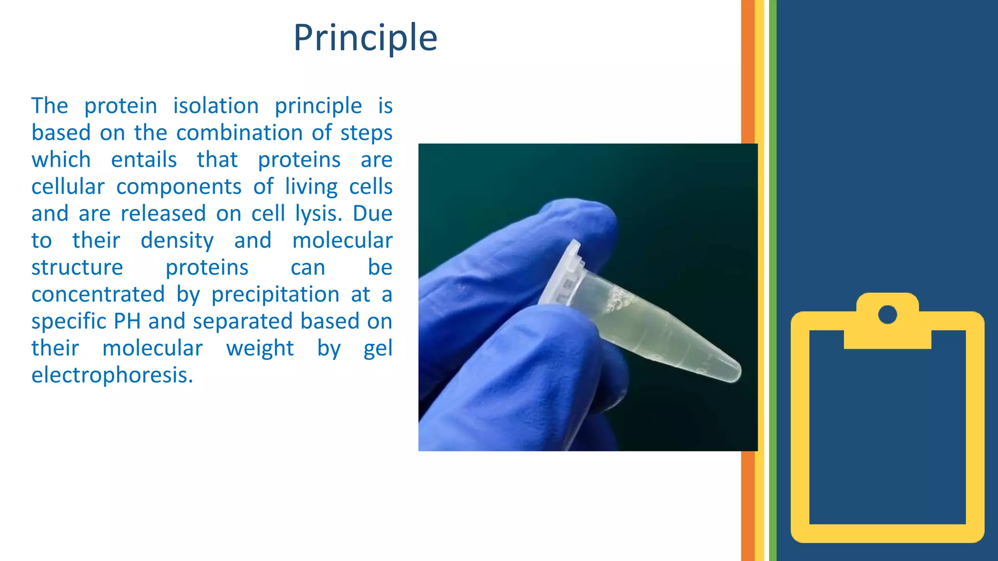 Isolation of cellular Proteins.pptx | Biological Sciences | Science