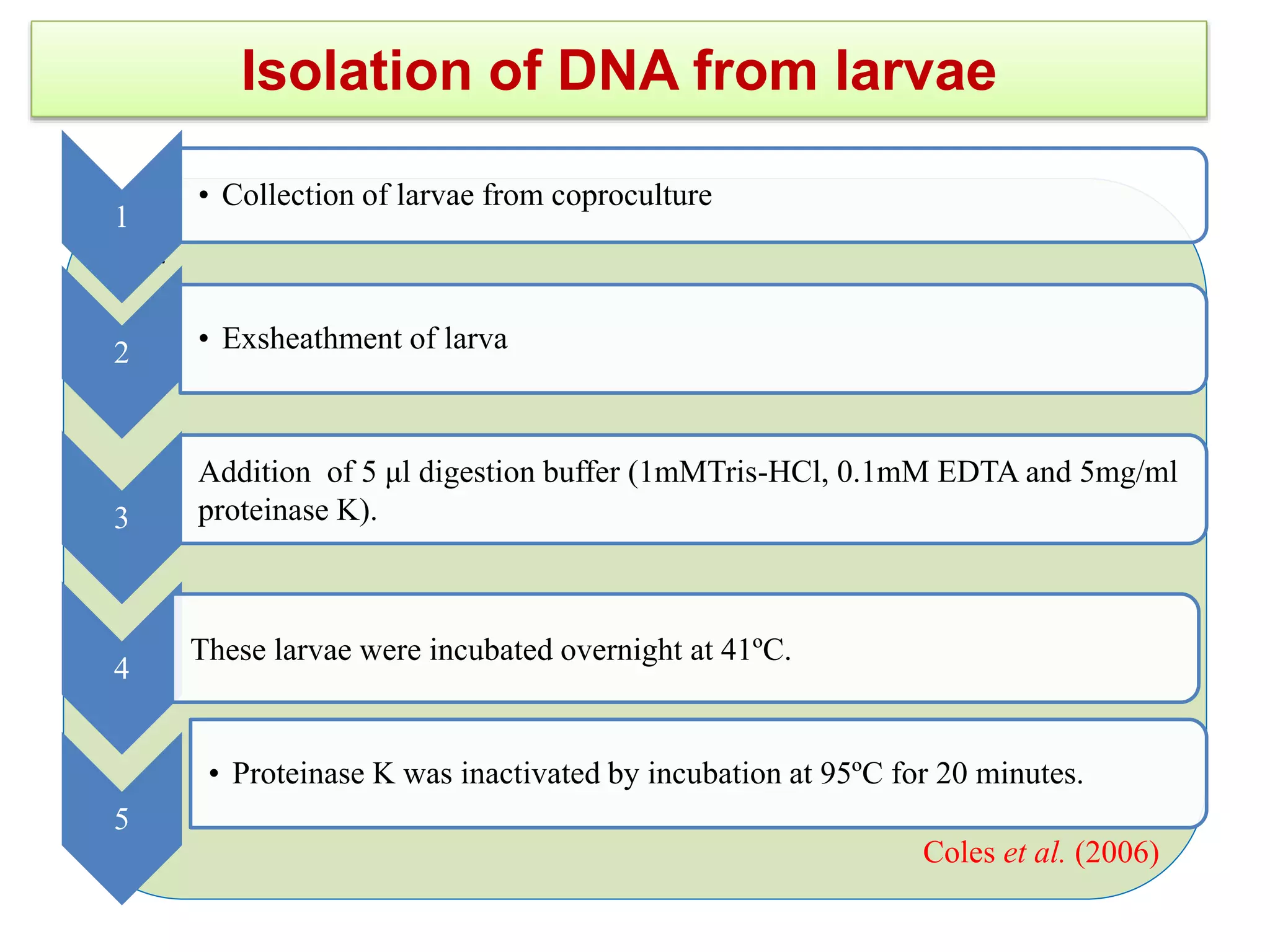 Isolation of DNA from parasites | PPT