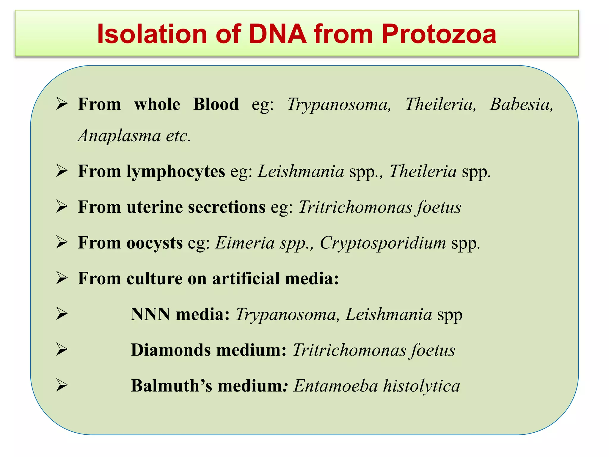 Isolation of DNA from parasites | PPT