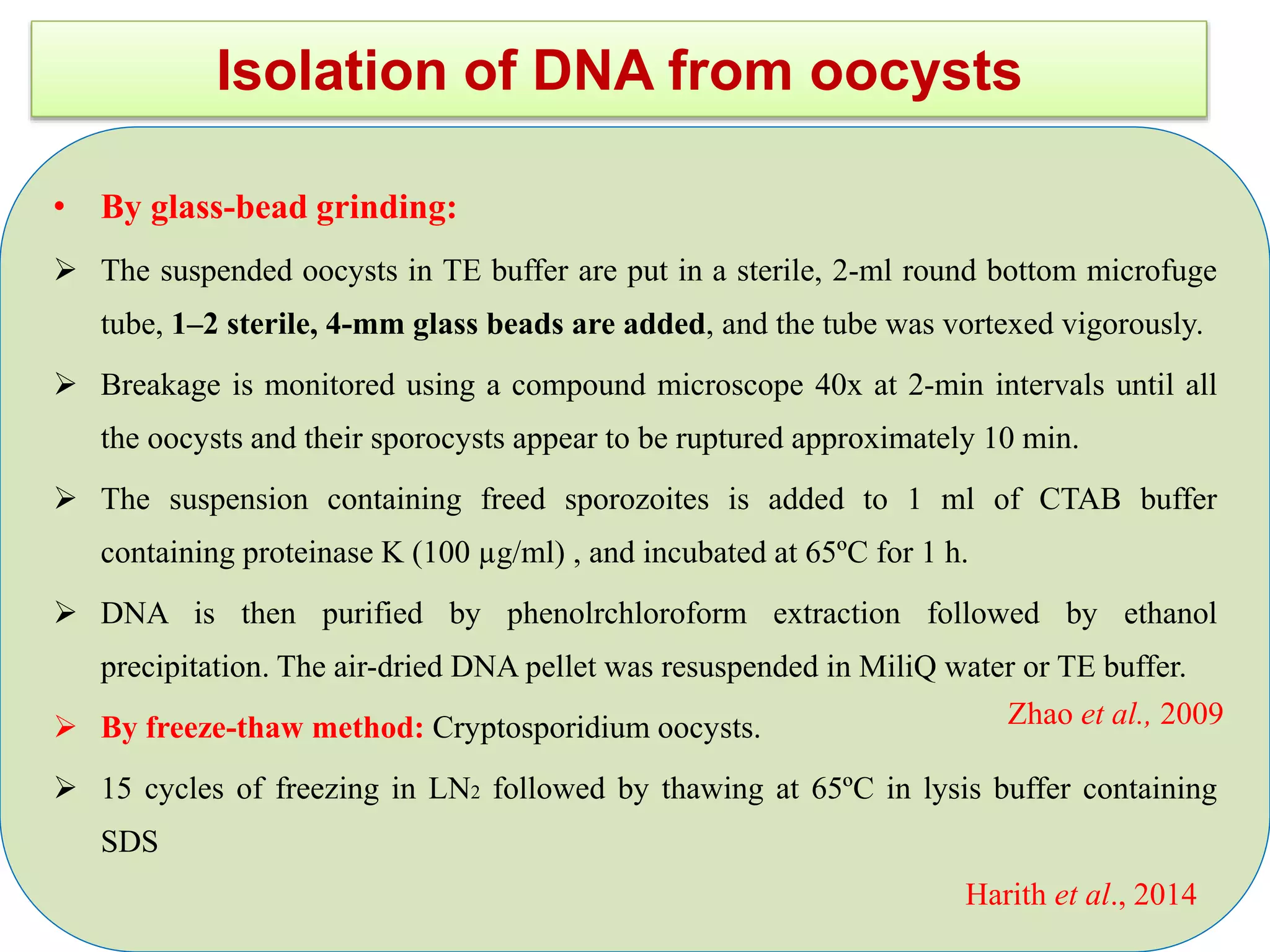 Isolation of DNA from parasites | PPT