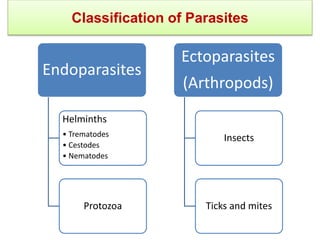 Isolation of DNA from parasites | PPTX