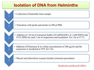 Isolation of DNA from parasites | PPTX