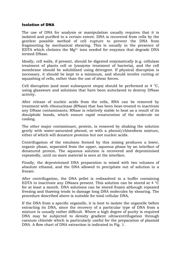 Isolation of dna | PDF