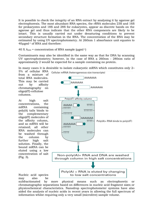 Isolation of dna | PDF