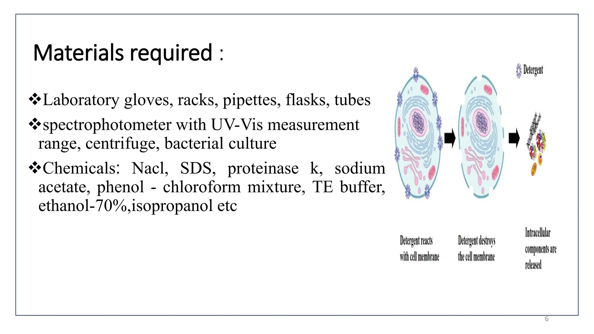 ISOLATION OF DNA FROM BACTERIAL CELL 1.pptx