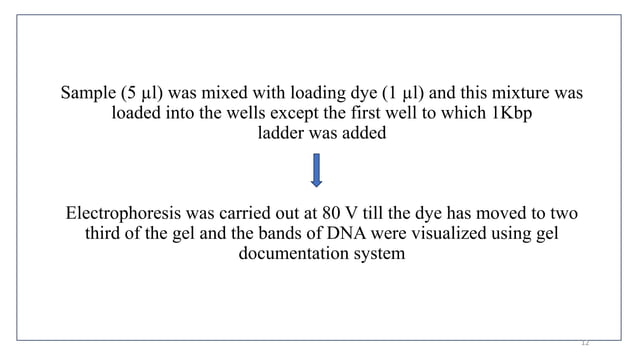ISOLATION OF DNA FROM BACTERIAL CELL 1.pptx