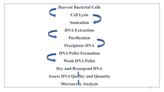 ISOLATION OF DNA FROM BACTERIAL CELL 1.pptx