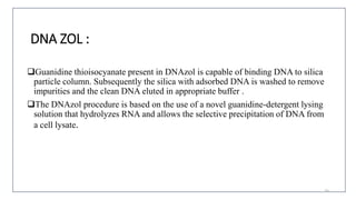 ISOLATION OF DNA FROM BACTERIAL CELL 1.pptx