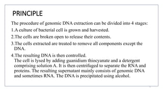 ISOLATION OF DNA FROM BACTERIAL CELL 1.pptx
