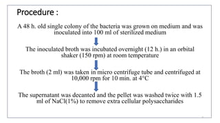 ISOLATION OF DNA FROM BACTERIAL CELL 1.pptx