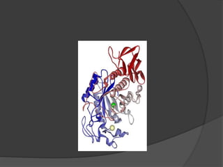 Isolation of enzyme amylase its properties and catalytic properties | PPT