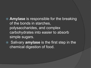 Isolation of enzyme amylase its properties and catalytic properties | PPT