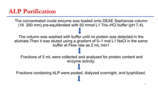 Isolation of enzyme and their assay | PPTX | Chemistry | Science