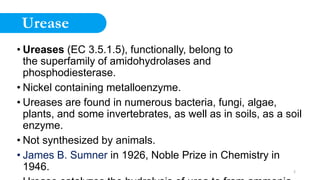 Isolation of enzyme and their assay | PPTX