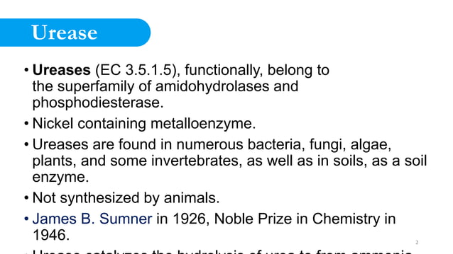Isolation of enzyme and their assay | PPTX | Chemistry | Science