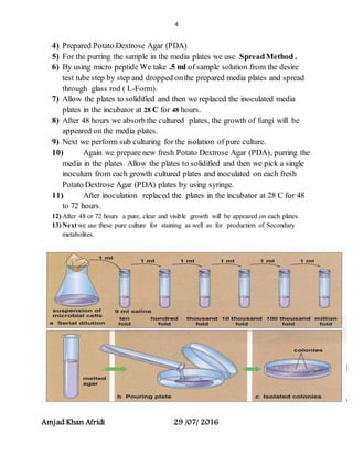 Isolation of fungi from soil sample | DOCX