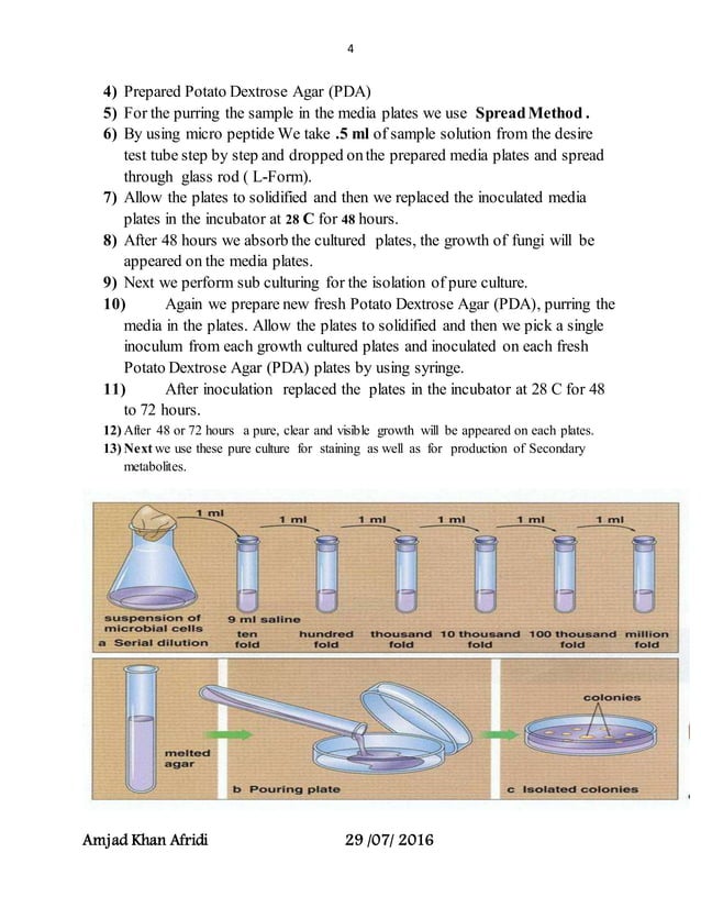Isolation of fungi from soil sample