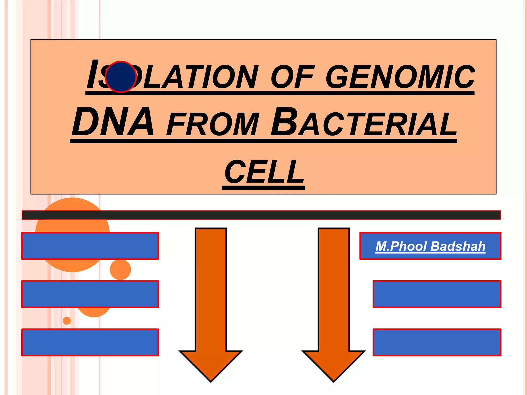 Isolation of genomic DNA from Bacterial cell.pptx