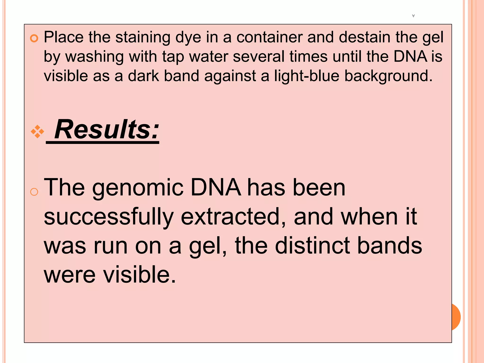 Isolation of genomic DNA from Bacterial cell.pptx