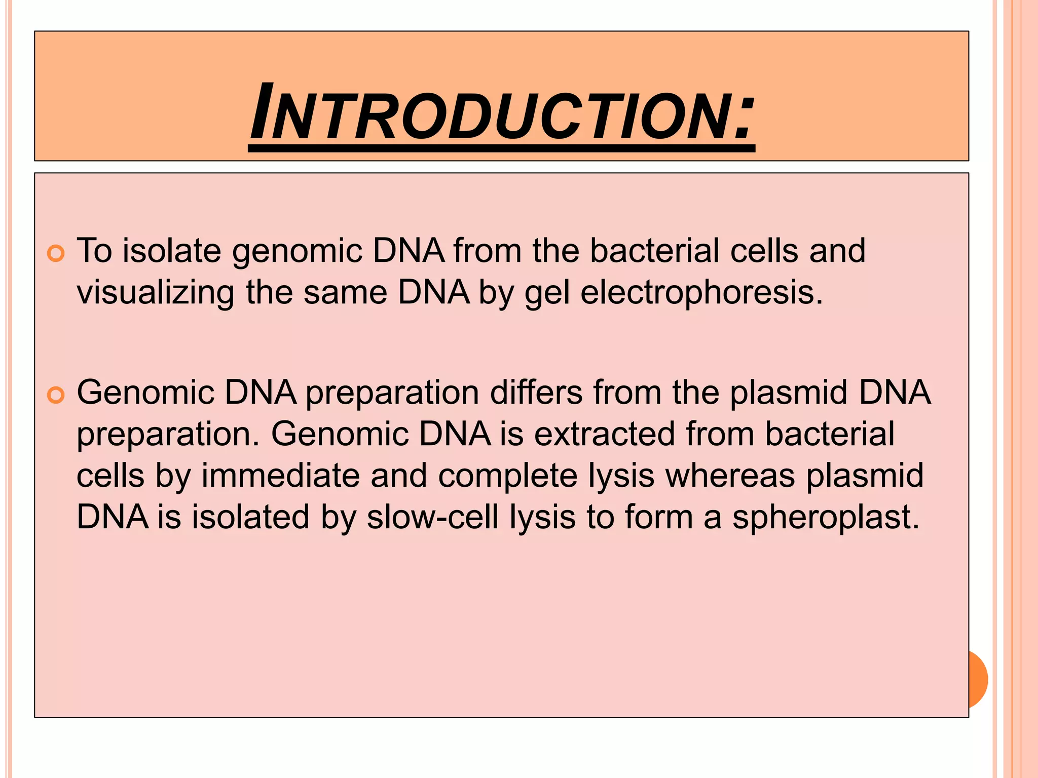 Isolation of genomic DNA from Bacterial cell.pptx