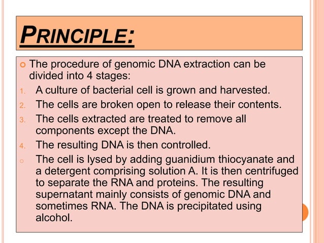 Isolation of genomic DNA from Bacterial cell.pptx | Hair Care | Beauty