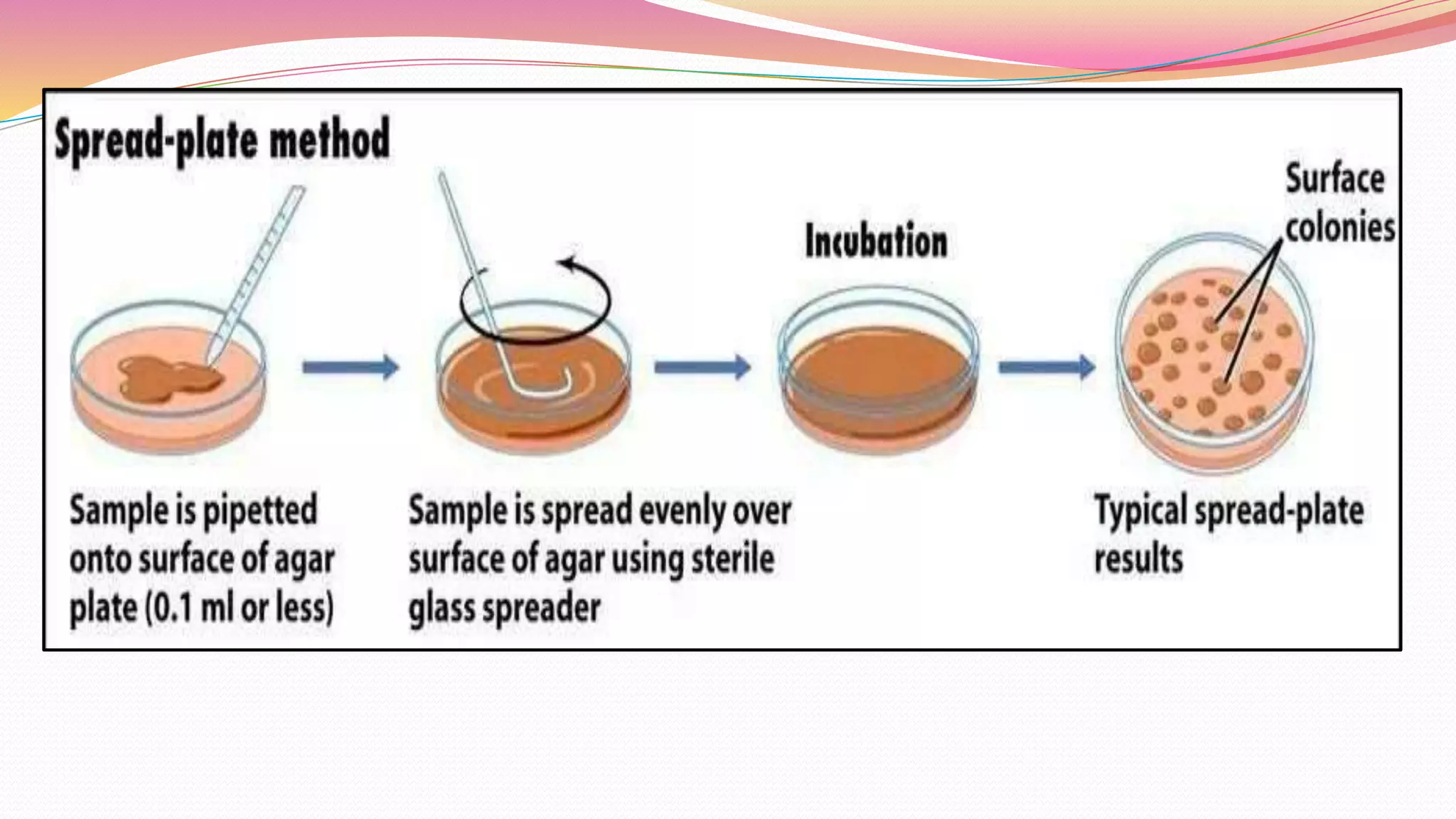 Isolation of industrial microorganisms | PPTX