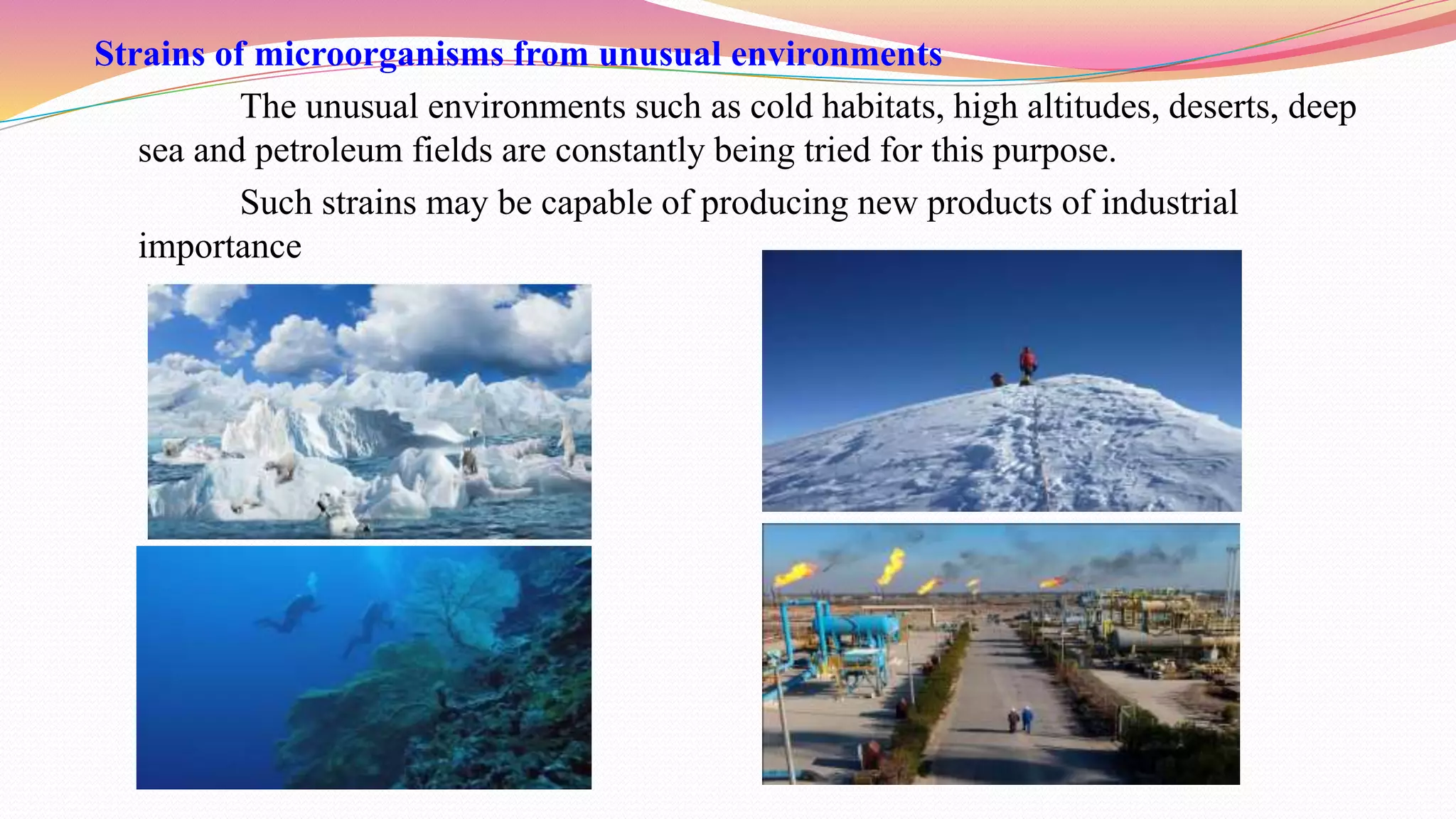 Isolation of industrial microorganisms | PPTX