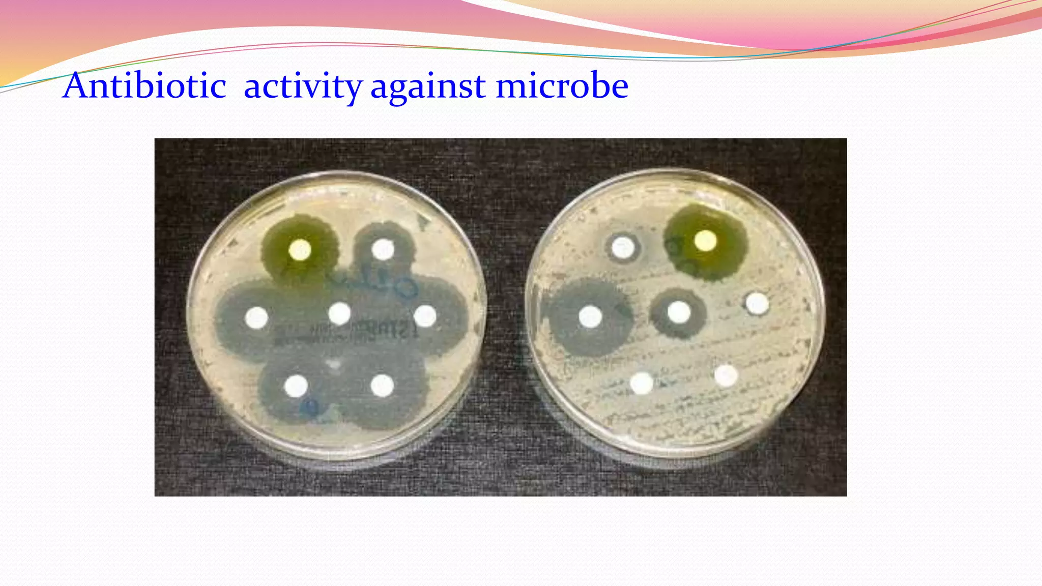 Isolation of industrial microorganisms | PPTX