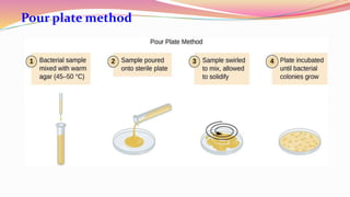 Isolation of industrial microorganisms | PPTX