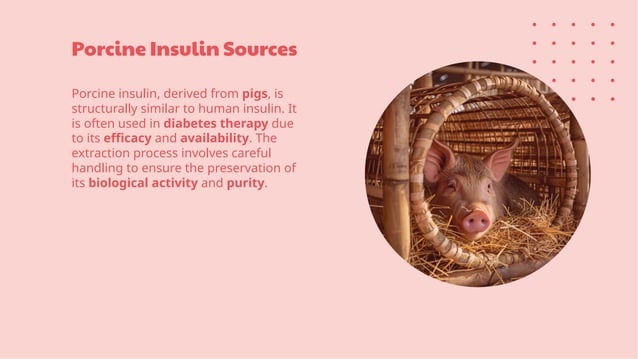 isolation of insulin from pig animals.pdf