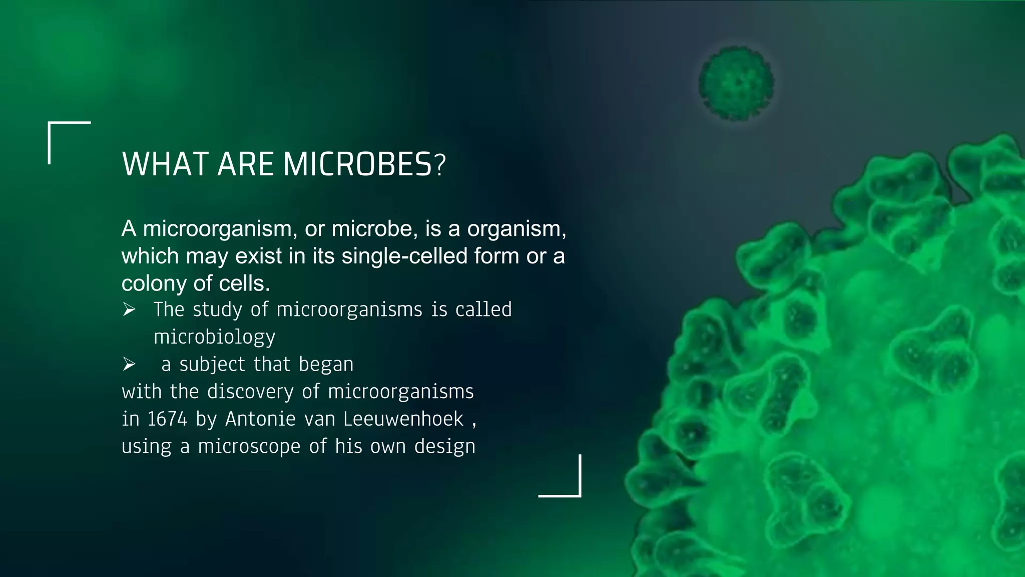 Isolation of microbes , its all types, handling, advantages and dis ...