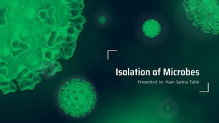 Isolation of microbes , its all types, handling, advantages and dis ...