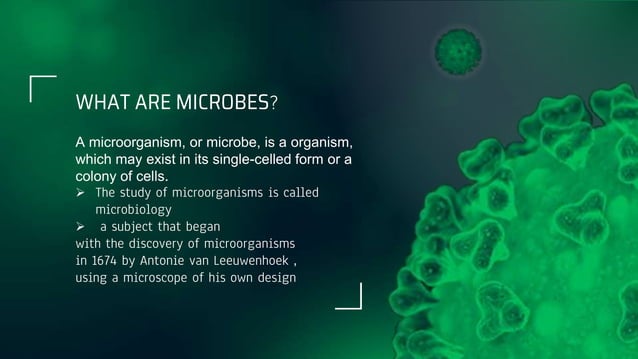 Isolation of microbes , its all types, handling, advantages and dis ...