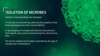 Isolation of microbes , its all types, handling, advantages and dis ...