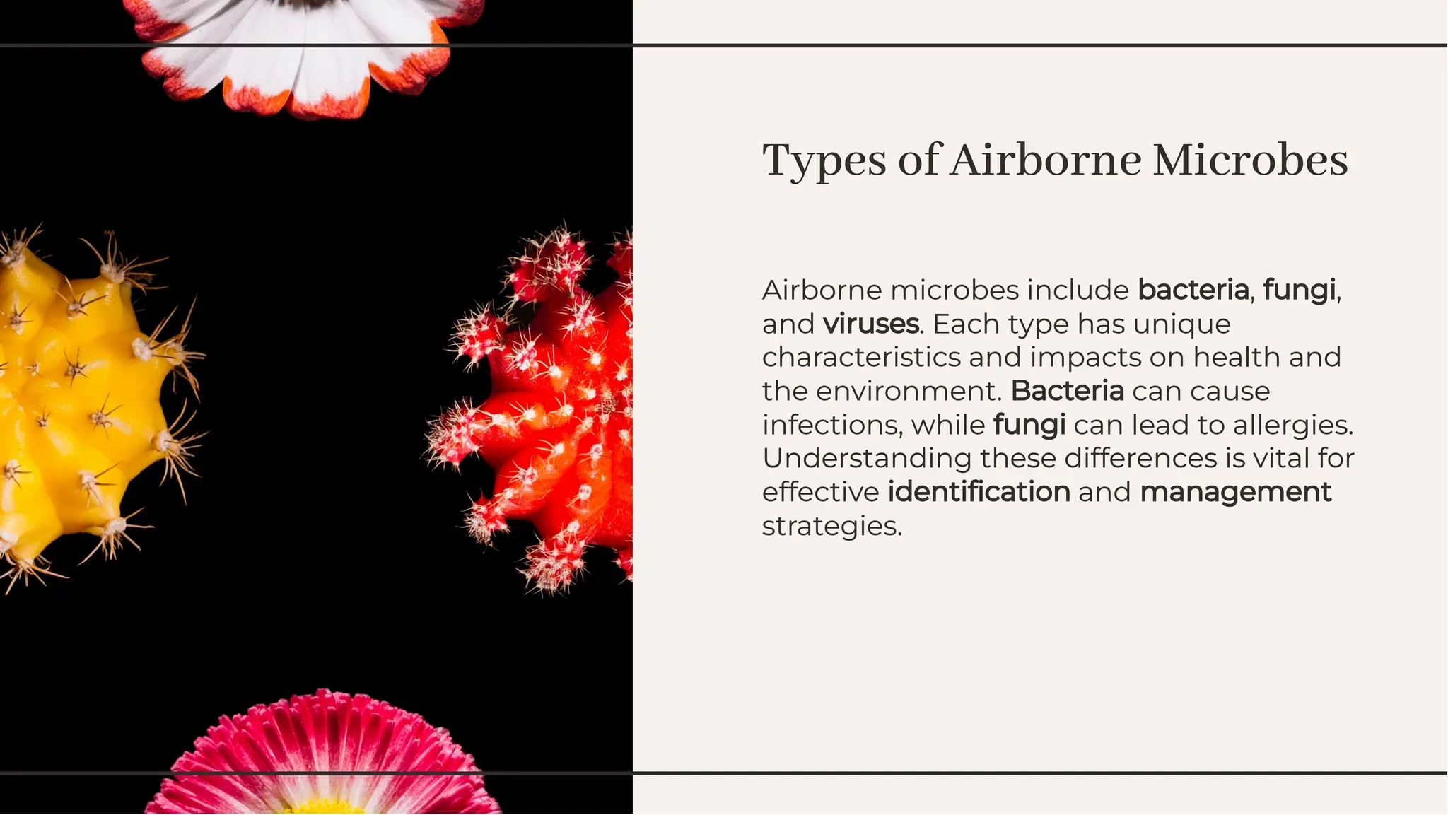 isolation of microbes from air and method.pdf