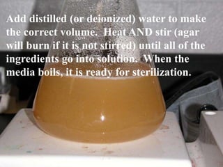 Isolation of microbes.ppt