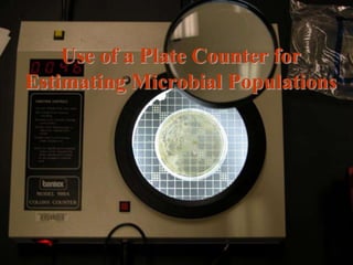 Isolation of microbes.ppt